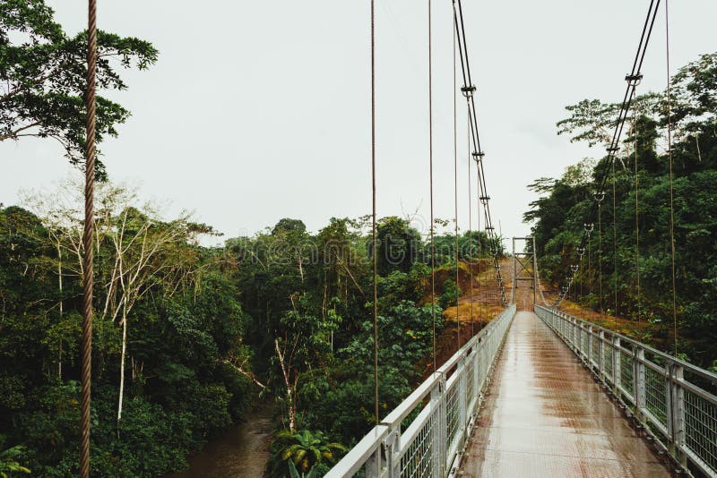 Bridge Over the River in the Amazon, Metal Structure, Large Bridges ...