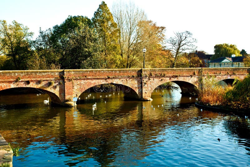 Bridge over the river Avon stock image. Image of swans - 46483639
