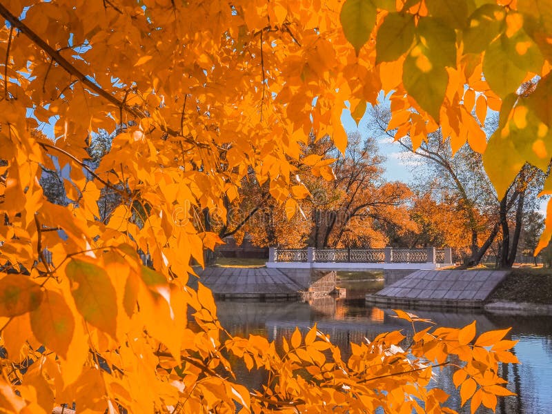 Bridge Over the River Channel Framed by Yellow Fall Foliage Stock Photo ...