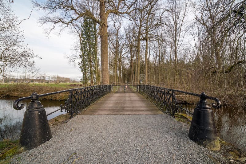 Bridge Over a River Next To the Forest Stock Photo - Image of plank ...