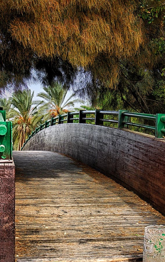 Bridge stock photo. Image of travel, palm, hiking, green - 71405590