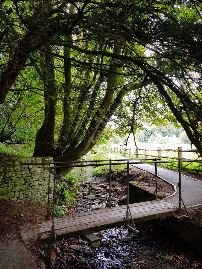 Bridge Over River and Trees Stock Image - Image of trees, greenery ...