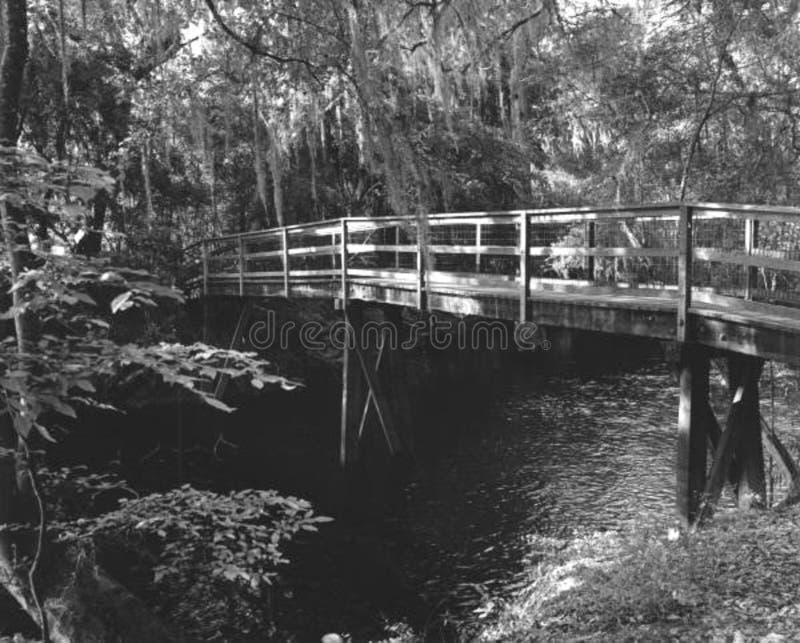 Bridge Over Santa Fe River At Oleno State Park Stock Image - Image of ...