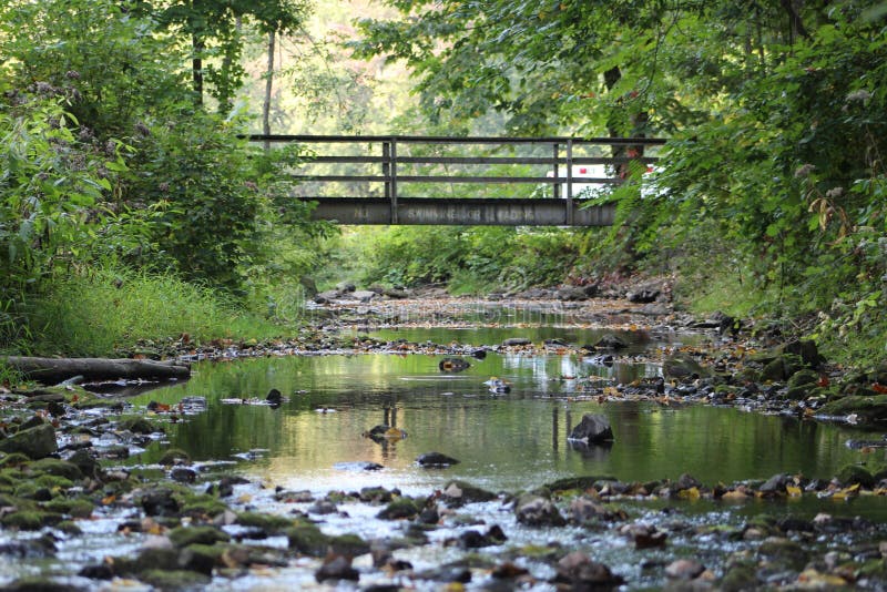 Natures paradise stock image. Image of creek, bridge - 159783417