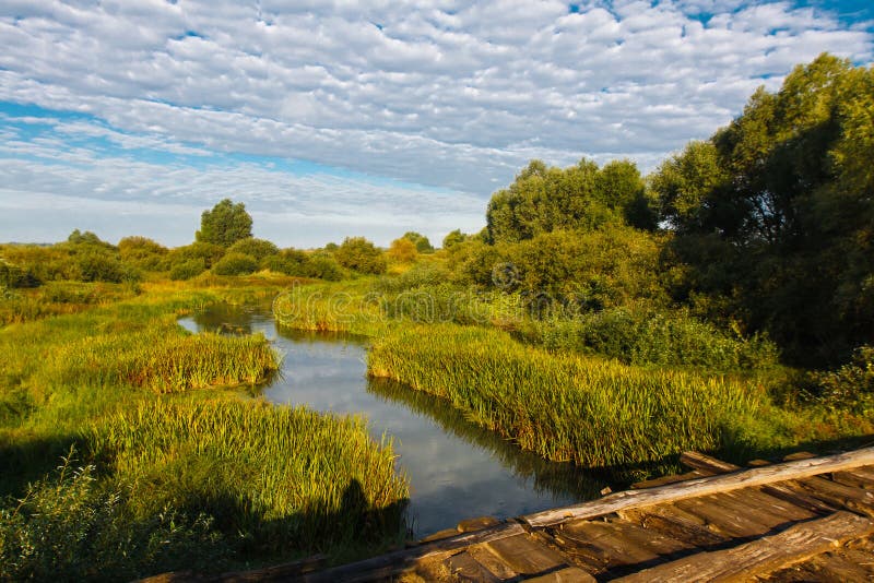 Bridge over a small river stock image. Image of nature - 59186199