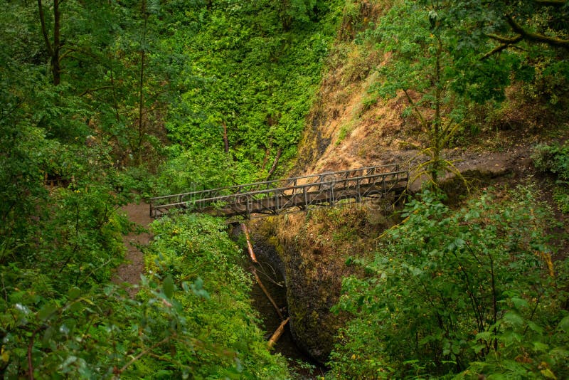 Bridge over small river stock photo. Image of small, landscape - 99398762