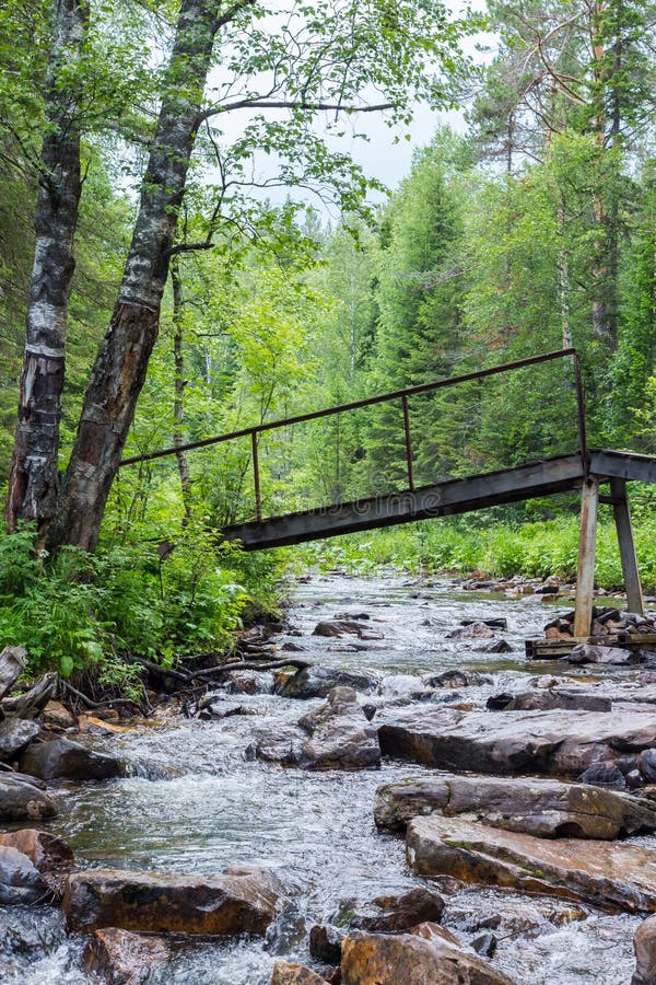 A Bridge Over a Small Stream with Large Rocks in the Green Forest ...