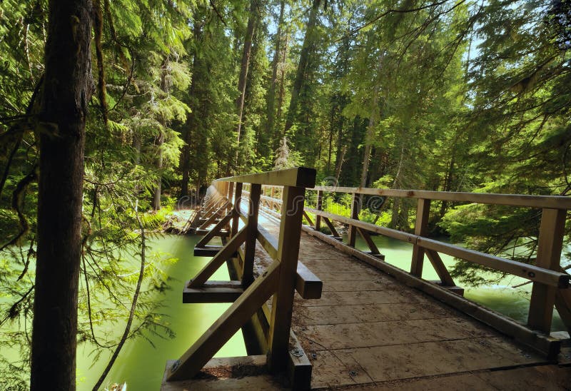 Bridge over stream stock photo. Image of planks, bridge - 12468230