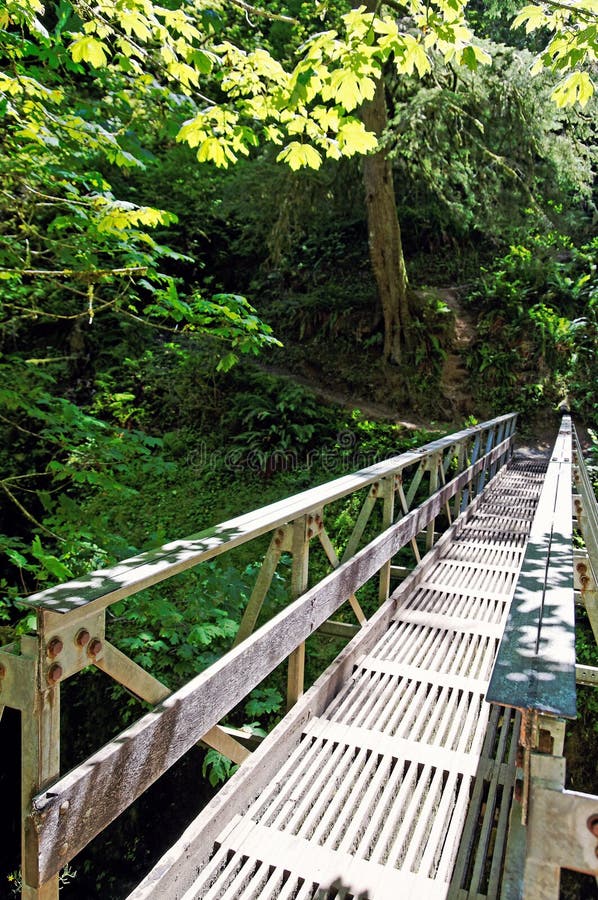 Bridge over a stream stock photo. Image of hiking, flowers - 16268198