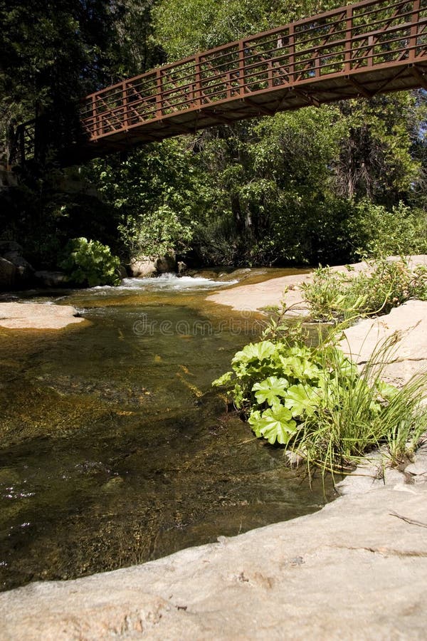 Bridge over stream stock photo. Image of forest, landscape - 20556974