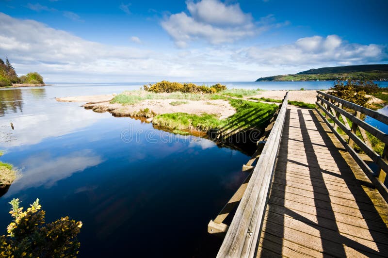 Bridge over Stream stock image. Image of green, bridge - 9330127