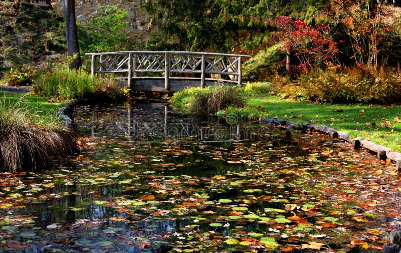 Bridge over a stream stock photo. Image of stream, hiking - 82417410