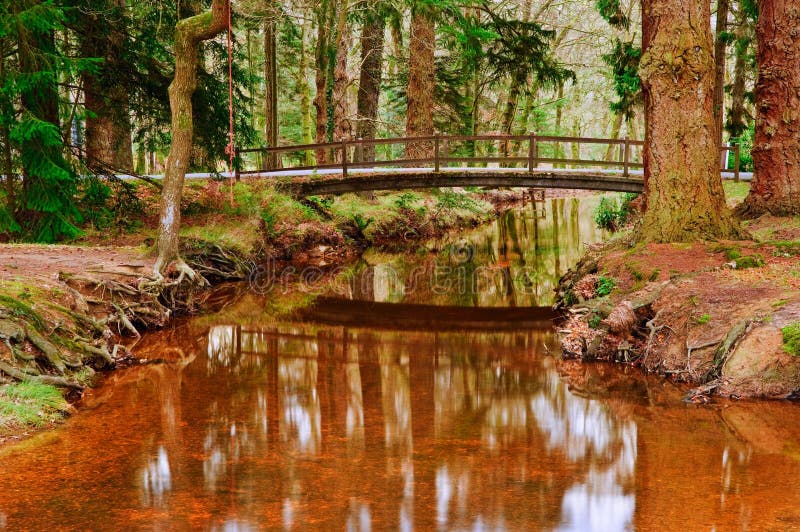 Bridge Over Stream in Winter Autumn Fall Forest Stock Image - Image of ...