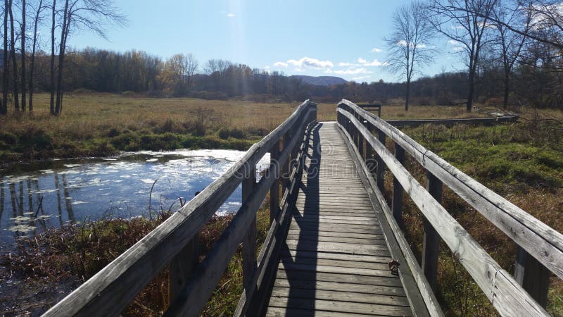 Bridge over swamp stock image. Image of swamp, landscape - 80055655