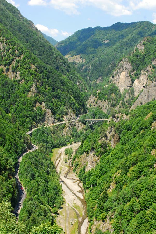 Tara River Canyon stock photo. Image of rift, purgatory - 49784012