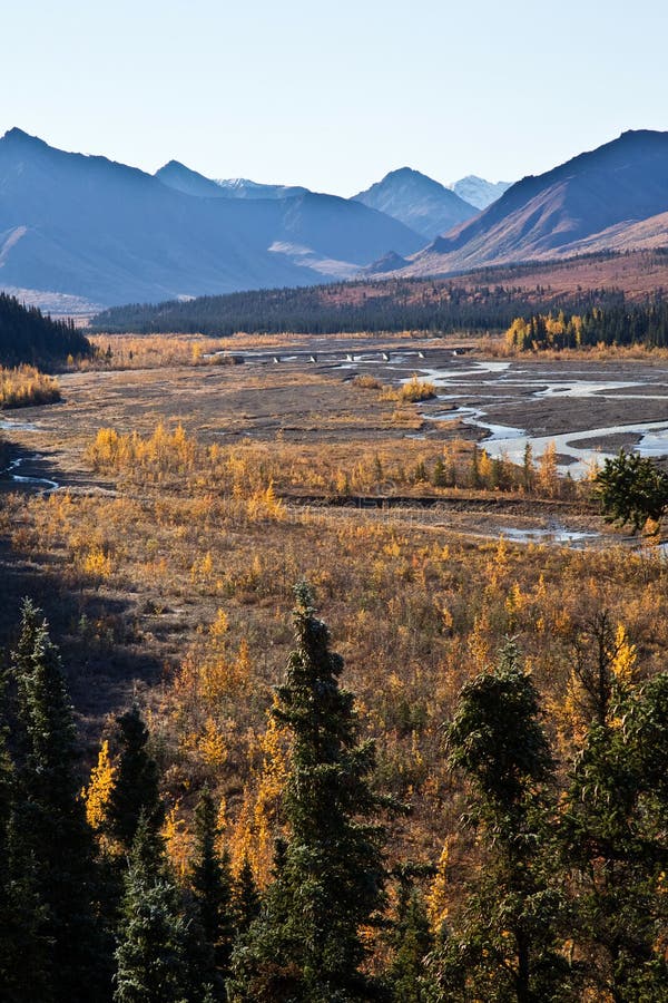 Bridge in Denali Park stock photo. Image of alaska, landscape - 32921968