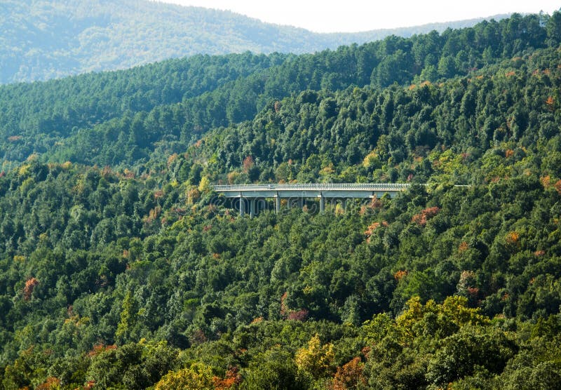 Bridge over a valley stock image. Image of forest, greenwood - 19861719