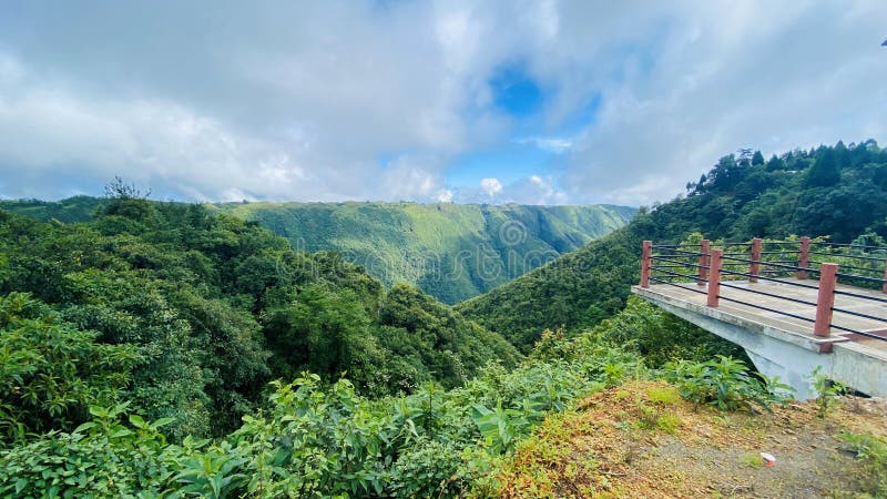 A Bridge Over a Valley of Trees Stock Image - Image of environment ...