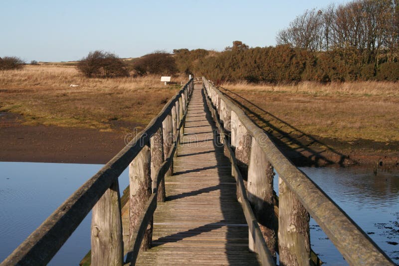 Bridge Over Water stock image. Image of shadows, tree, springtime - 348539