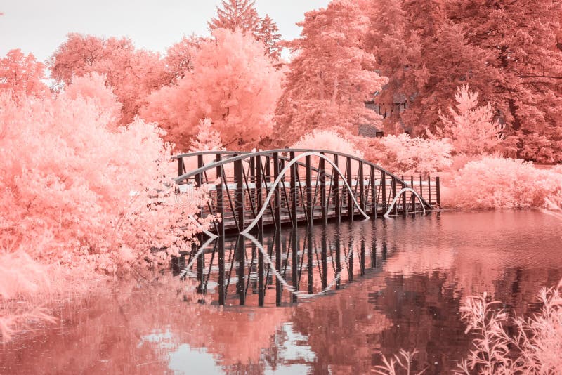 Bridge Over Water in Color Infrared Stock Photo - Image of colorful ...
