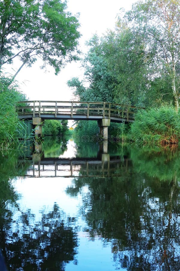 Bridge Over Water in Nature Environment Stock Image - Image of water ...