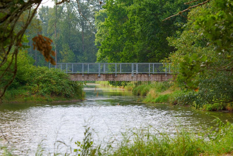 A Bridge Over Water Surrounded by Trees Stock Photo - Image of ...