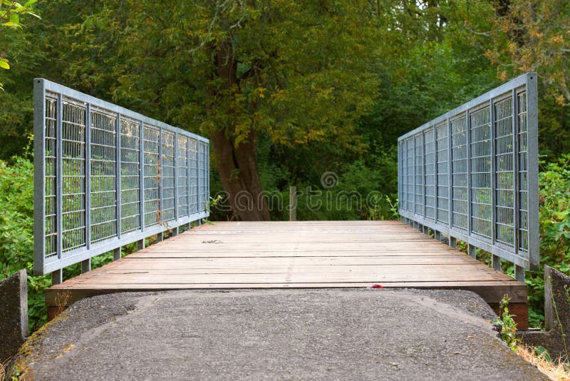 A Bridge Over Water Surrounded by Trees Stock Photo - Image of path ...