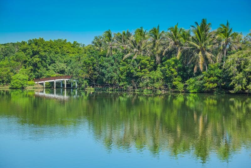 The Bridge Over the Water To Nature Stock Image - Image of stream ...