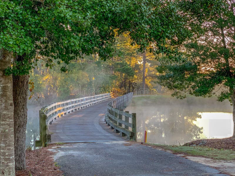 Bridge Over Water with Trees Amd Lake Stock Photo - Image of reflection ...