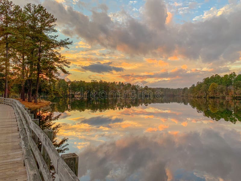 Bridge Over Water with Trees Amd Lake Stock Photo - Image of reflection ...