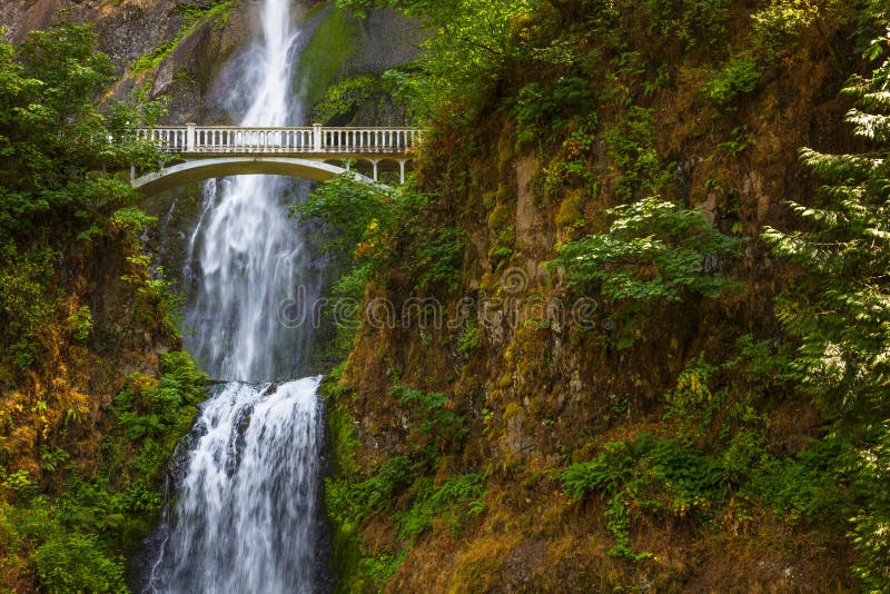 Walking Bridge Over Waterfall in Forest Stock Photo - Image of ...