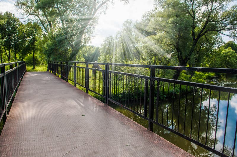 Bridge in the park stock photo. Image of leaf, nature - 28218436