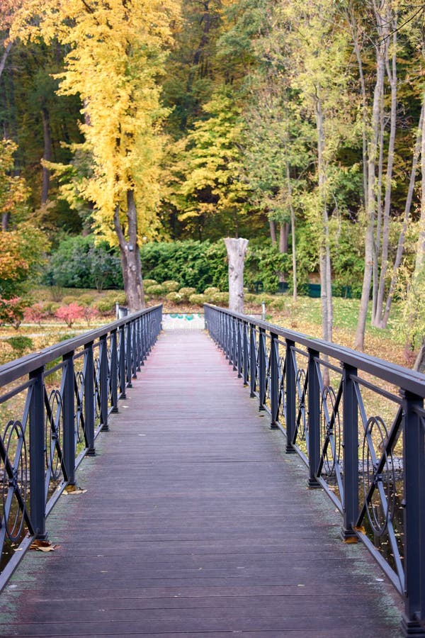 Bridge in a Park, Perspective View. Stock Image - Image of lineraly ...