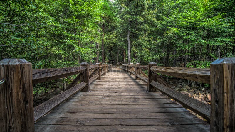 A Bridge Path Lined by Trees in Yosemite National Park Editorial Stock ...