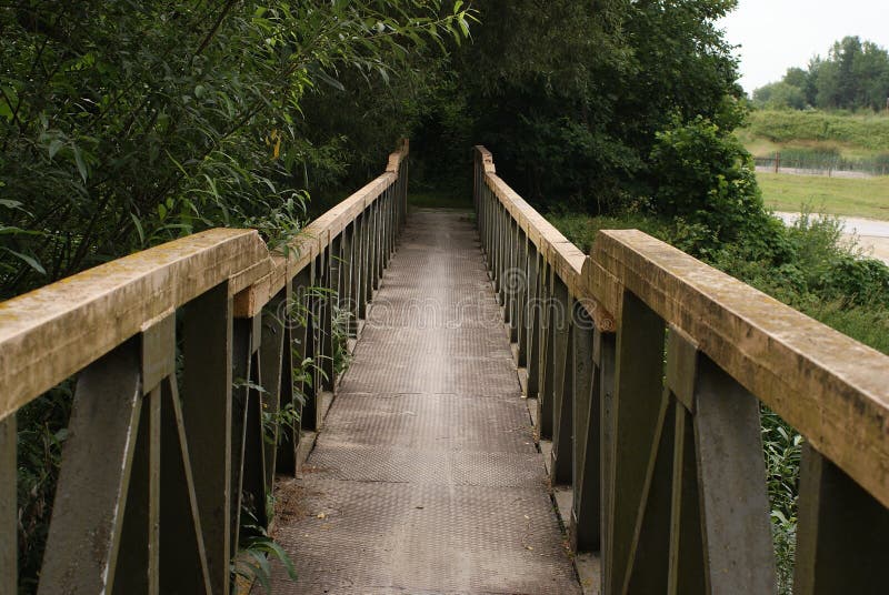Bridge, Path, Tree, Walkway Picture. Image: 132187251