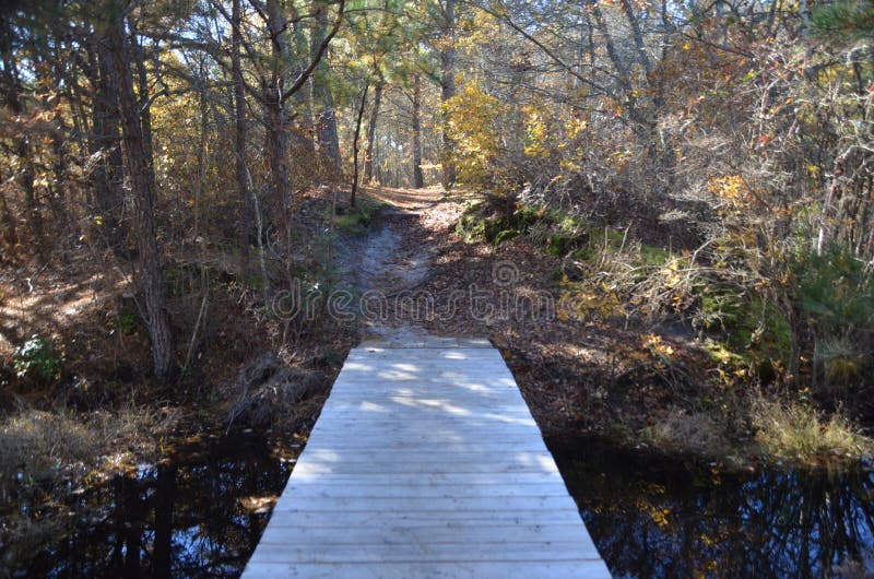 Bridge on Path stock image. Image of hike, relax, walking - 130811233