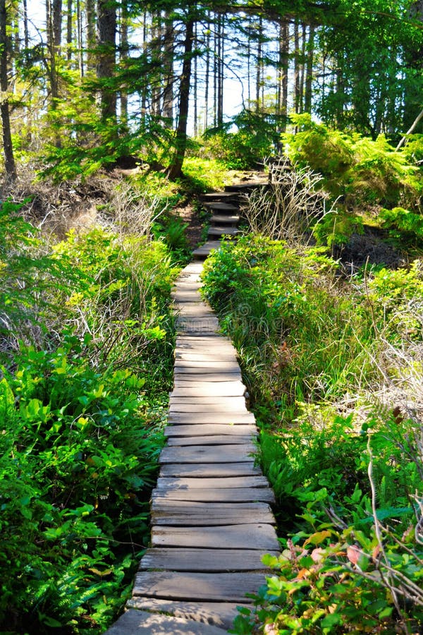 Bridge stock photo. Image of though, pathway, bridge - 80165732