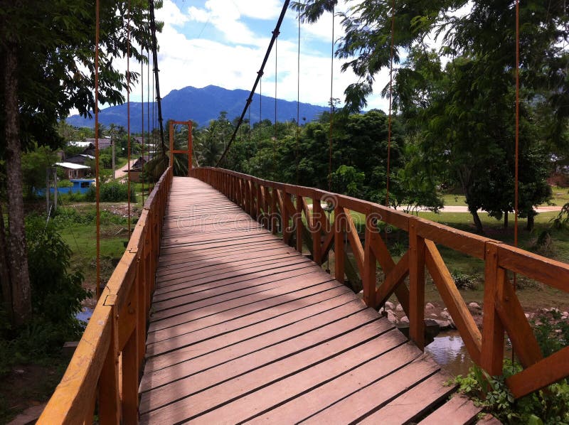 Bridge in Peru S Rainforest Stock Photo - Image of crossing, countless ...