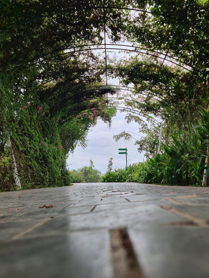 Bridge Point of View To See the Sky Stock Image - Image of point ...