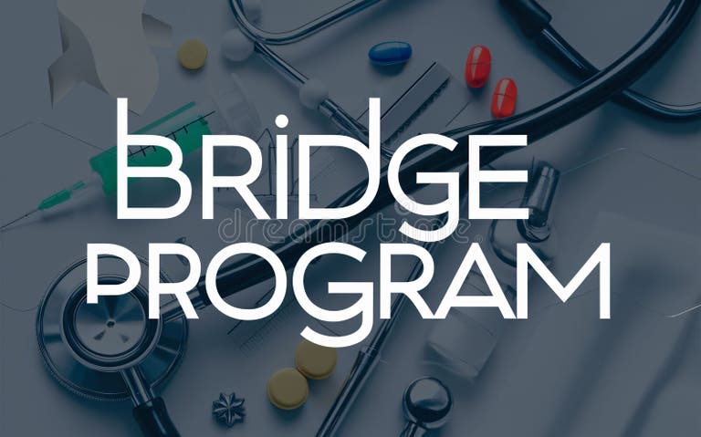 Bridge Program Stock Illustrations – 182 Bridge Program Stock ...