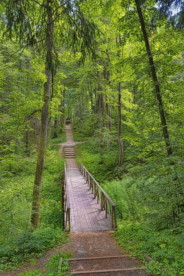 The Bridge through a Ravine Stock Photo - Image of handrail, steps ...