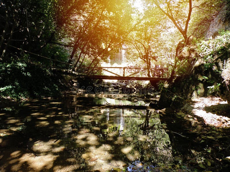 Bridge on the River in Forest Stock Photo - Image of reflection, travel ...