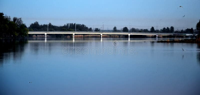 The Bridge through the River. Stock Image - Image of growth, building ...