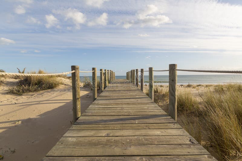 Path to the beach stock image. Image of elevated, outdoors - 10669341