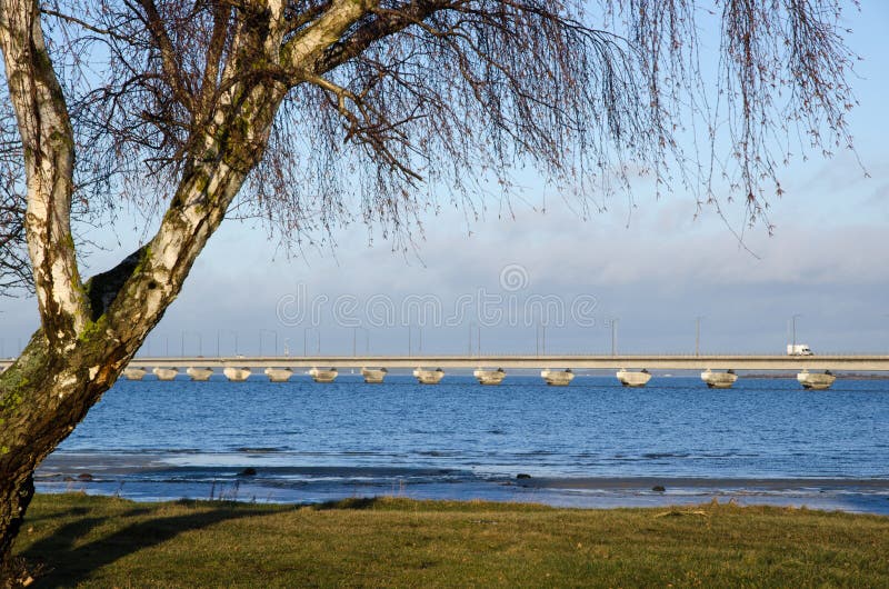 Bridge scene stock photo. Image of sweden, scene, birch - 37752068