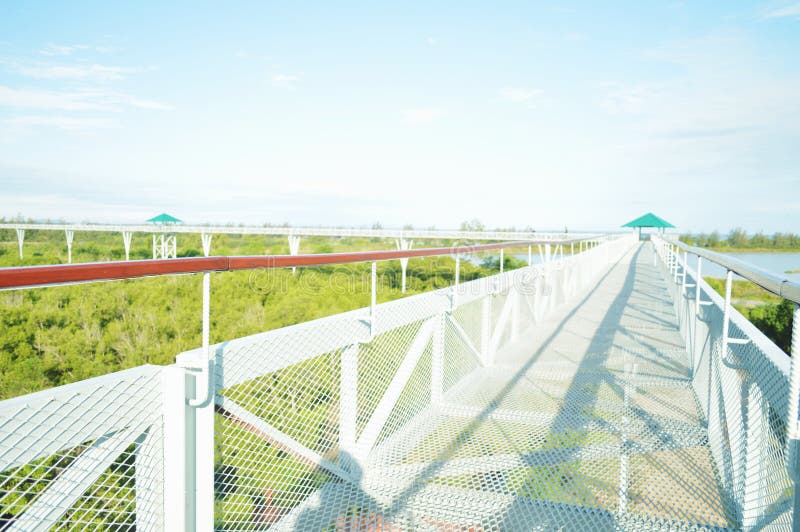 Sky Walker Skywalk Tree Sky Bridge Stock Image - Image of skybridge ...