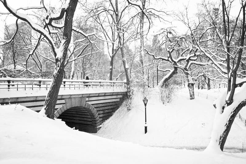 Bridge and Snow Central Park Stock Image - Image of trees, snow: 36339513