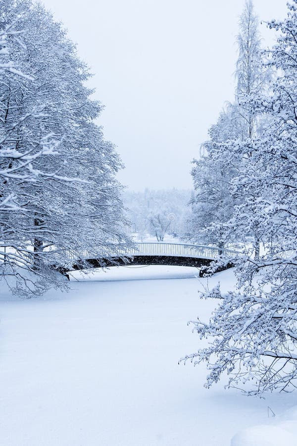 Bridge on snow stock photo. Image of storm, tree, bush - 59703608