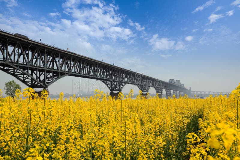 Bridge in spring stock image. Image of green, pure, countryside - 24149005