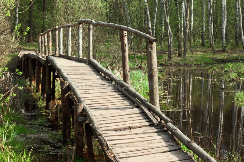 Bridge in a spring forest stock photo. Image of outdoor - 19015370